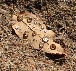 Deborah Segal | LensCulture