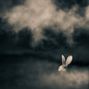 Tami Bone | LensCulture