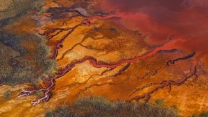 Torleif Lie | LensCulture