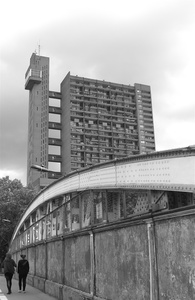 Wayne Kitcher - Five from the stack | LensCulture