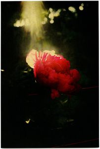 Anna's Collection - Anna Dada | LensCulture