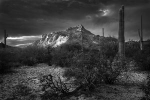 Jerry Cagle | LensCulture