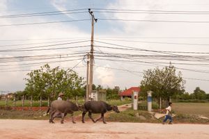 Joe Schechter | LensCulture