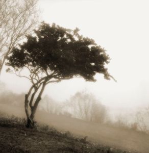 Sandra Russell Clark | LensCulture