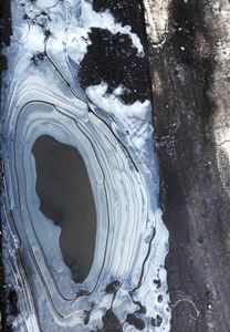 Morgan Shaw | LensCulture