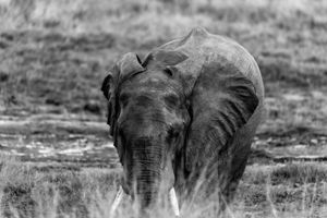 Alexander Hannah | LensCulture