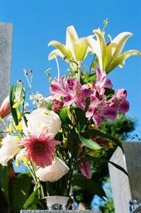 HIroshi Terada - graveyard flowers | LensCulture