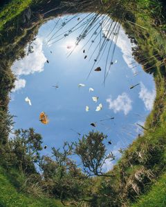 Dominick Tyler | LensCulture