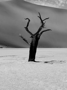 Ruben Tomas | LensCulture