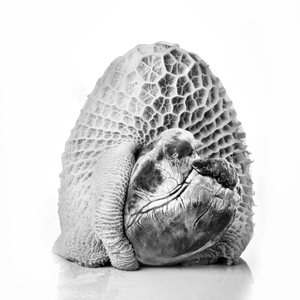 Anna Luscombe | LensCulture