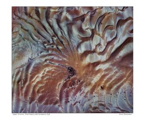 Dana Slaymaker | LensCulture