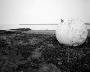 Peter Tonningsen - Steps | LensCulture