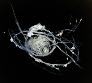 Amalgamated Fragmentations / Plastiverse - LensCulture