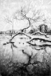 Martin Kull - The End of Winter | LensCulture