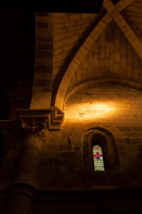 Daniele Ricci | LensCulture