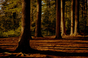 allan rosen-ducat | LensCulture