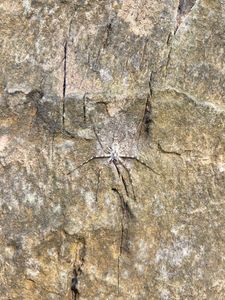 Suma Balaram | LensCulture