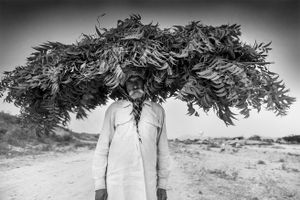 Swarup Chatterjee - Expressions from India | LensCulture