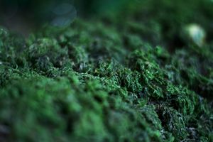 Julia Potocka | LensCulture