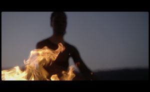 EVOLUTION: The Genius Equation, documentary! - LensCulture