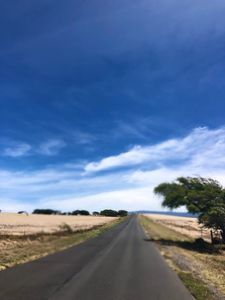 Allison Kerr | LensCulture