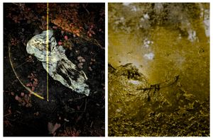 Arrayah Loynd - Pain Always Finds the Surface, Vol. II | LensCulture