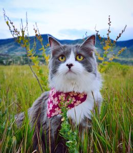 Maria Roper - Rio | LensCulture