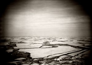 Roger Beck | LensCulture