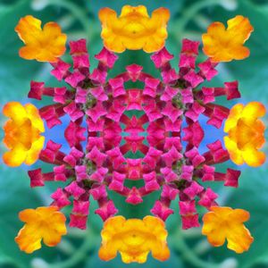 Daniel Teafoe - THE SERENITY THROUGH SYMMETRY PROJECT (RANDOM ...