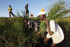 Luke Duggleby | LensCulture