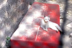 Martin Kesting - Tutto rotto! (with Lenka Kesting) 2022 | LensCulture