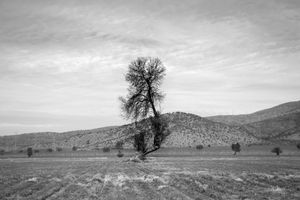 josefa elizalde | LensCulture