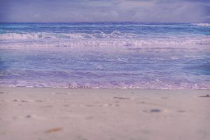 Susan Bertram | LensCulture