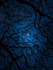 George Delon | LensCulture