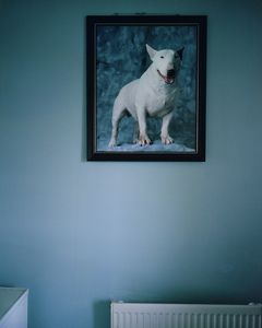 Marta Giaccone - Be Still, My Heart | LensCulture