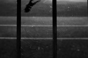 Mark-Daniel Prohaska - Along these lines | LensCulture