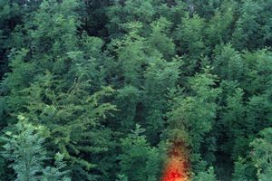 Johnny Savage - Fallout | LensCulture