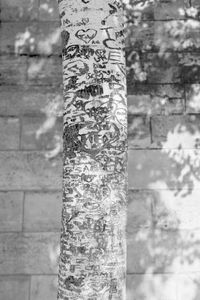 Vincent Dalbera | LensCulture