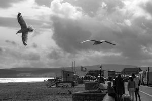 RAY RANKINE | LensCulture