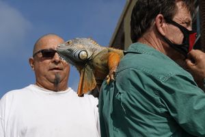 Robert Kummer | LensCulture