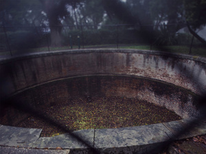 izzy Gramp - Daylesford | LensCulture