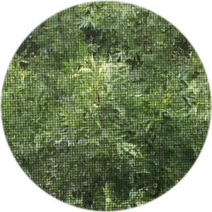 Gary Wahl - Condensed Landscapes | LensCulture