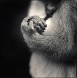 Anna's Collection - Anna Dada | LensCulture