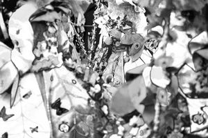 Ludovica De Santis - The Silent Mask | LensCulture