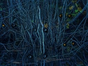 Peter Schnabel | LensCulture