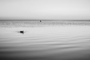 Mathias Wolf | LensCulture