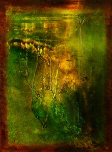 Brian Call | LensCulture