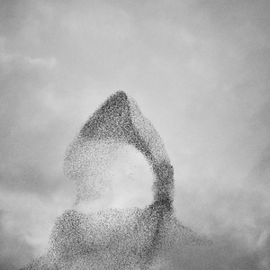 Daniel Dencescu | LensCulture