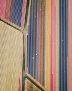 Dimitri Weber | LensCulture