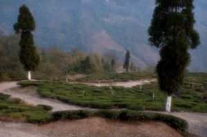 Susan Kessler | LensCulture